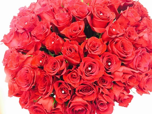 The Ultimate Rose Bouquet – buy online or call 0161 737 2322